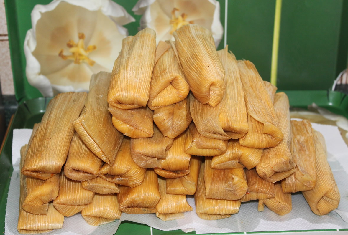 Conoce los principales tipos de tamales | Blog Xochitla