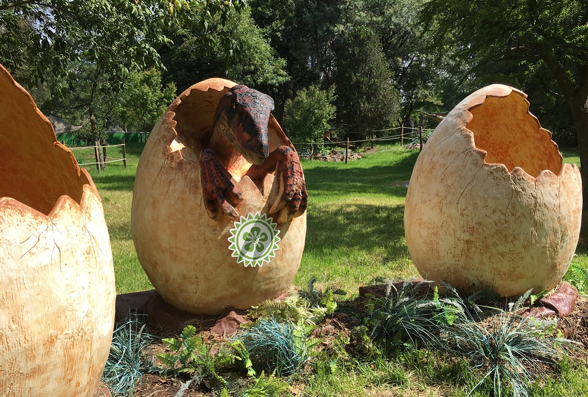 LOS ANCESTROS DE LAS AVES: LOS DINOSAURIOS | Blog Xochitla