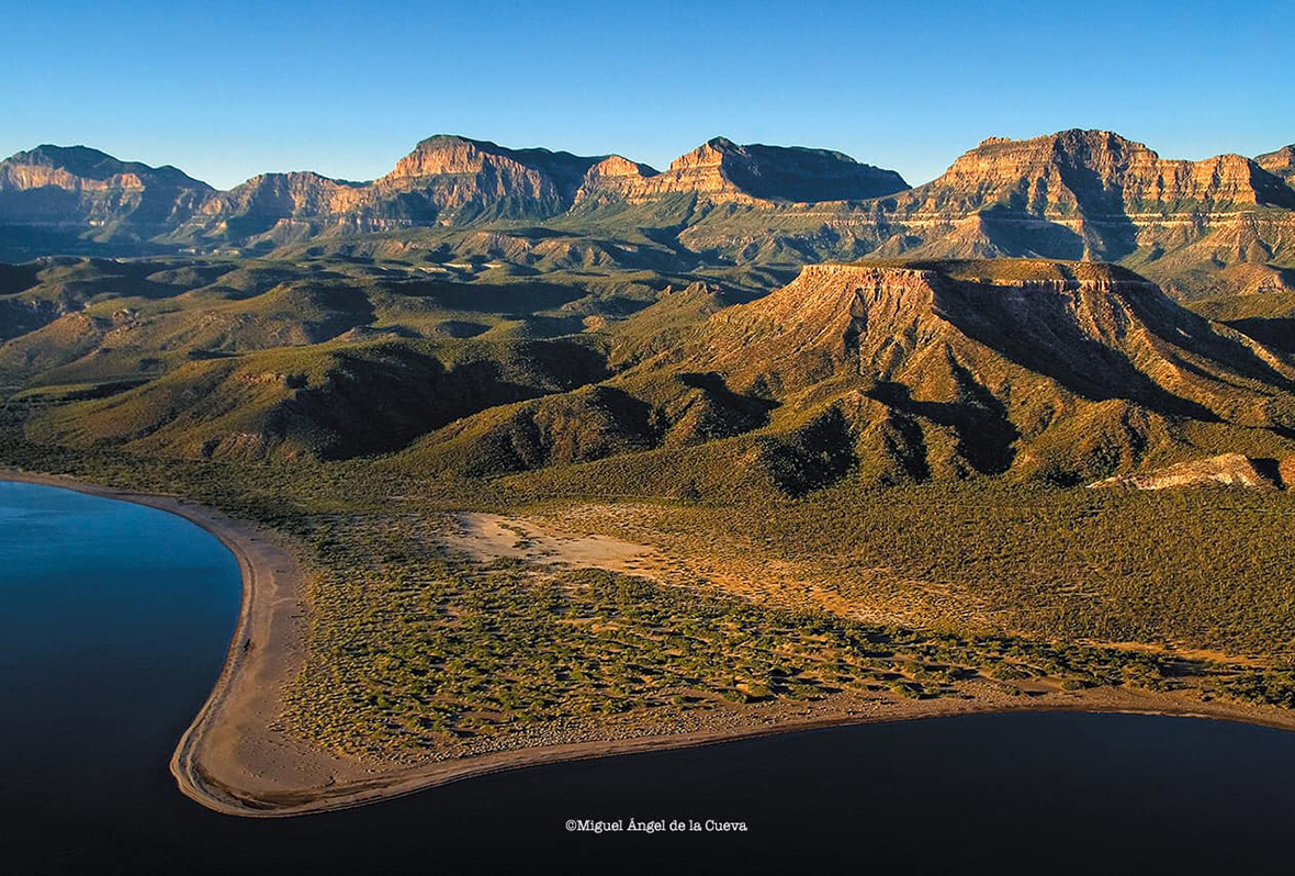 Niparajá gana el Premio Xochitla VII Edición | Blog Xochitla