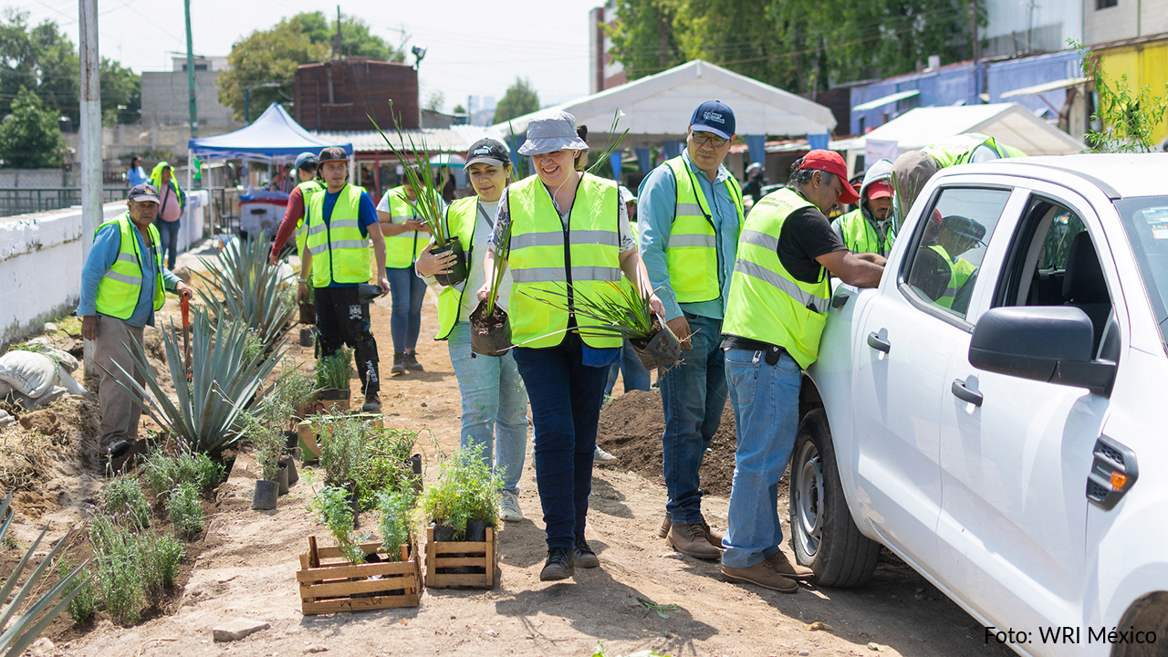 Descubre el Programa Ciudades de WRI México | Blog Xochitla